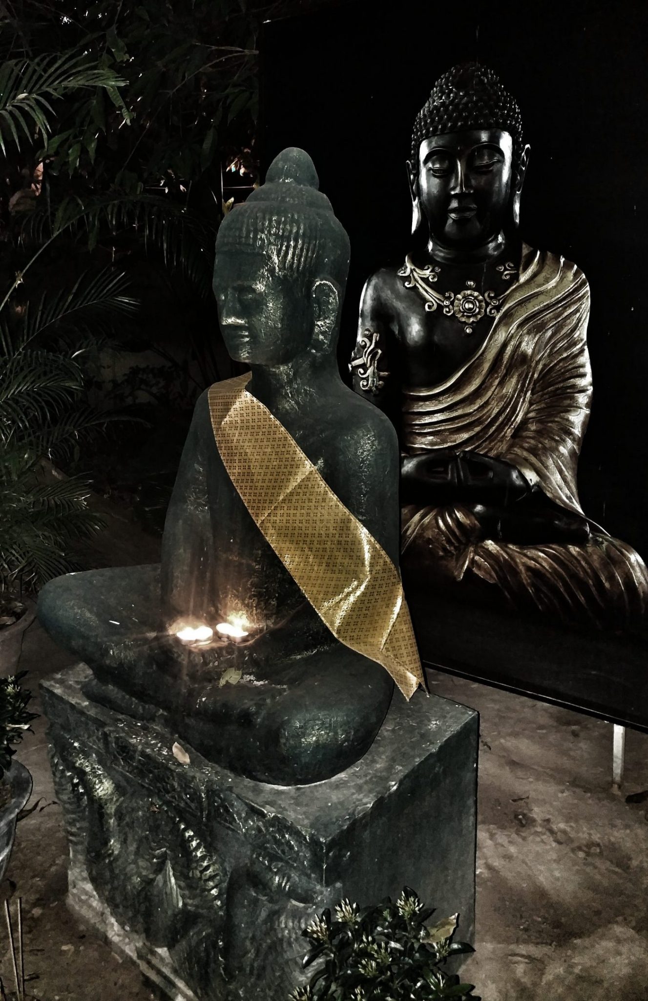 Stress Management | BUTTERFLY PATH